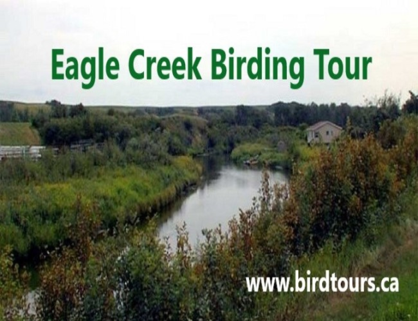 Eagle Creek Birding Tour | Discover Saskatoon